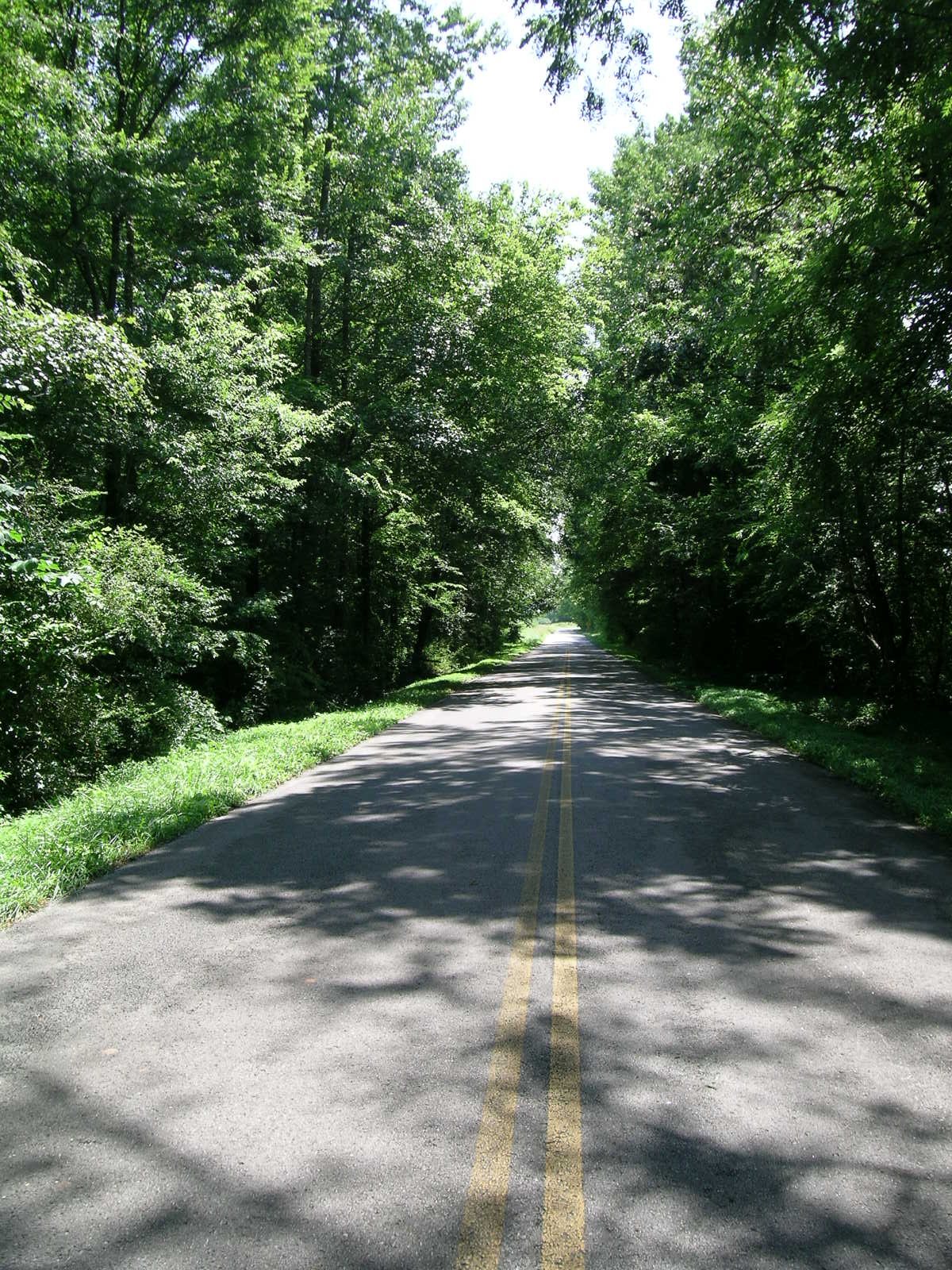 Locations Hub - Mingo Swamp