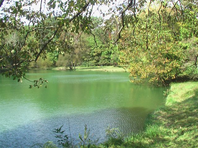 Locations Hub - Boxwell Scout Reservation