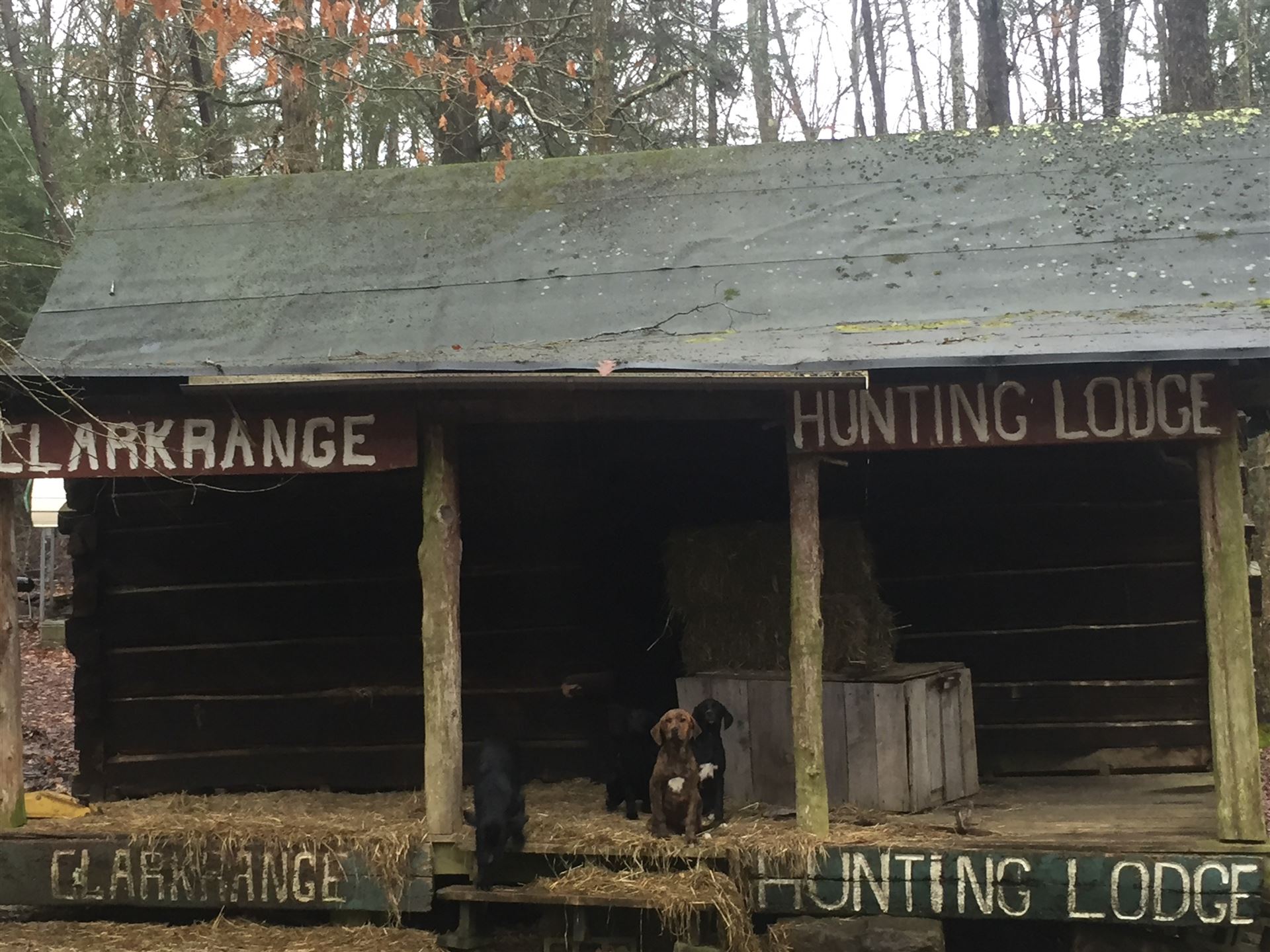 Locations Hub - Clarkrange Hunting Lodge