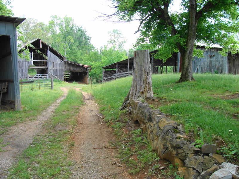 Locations Hub - Witt House