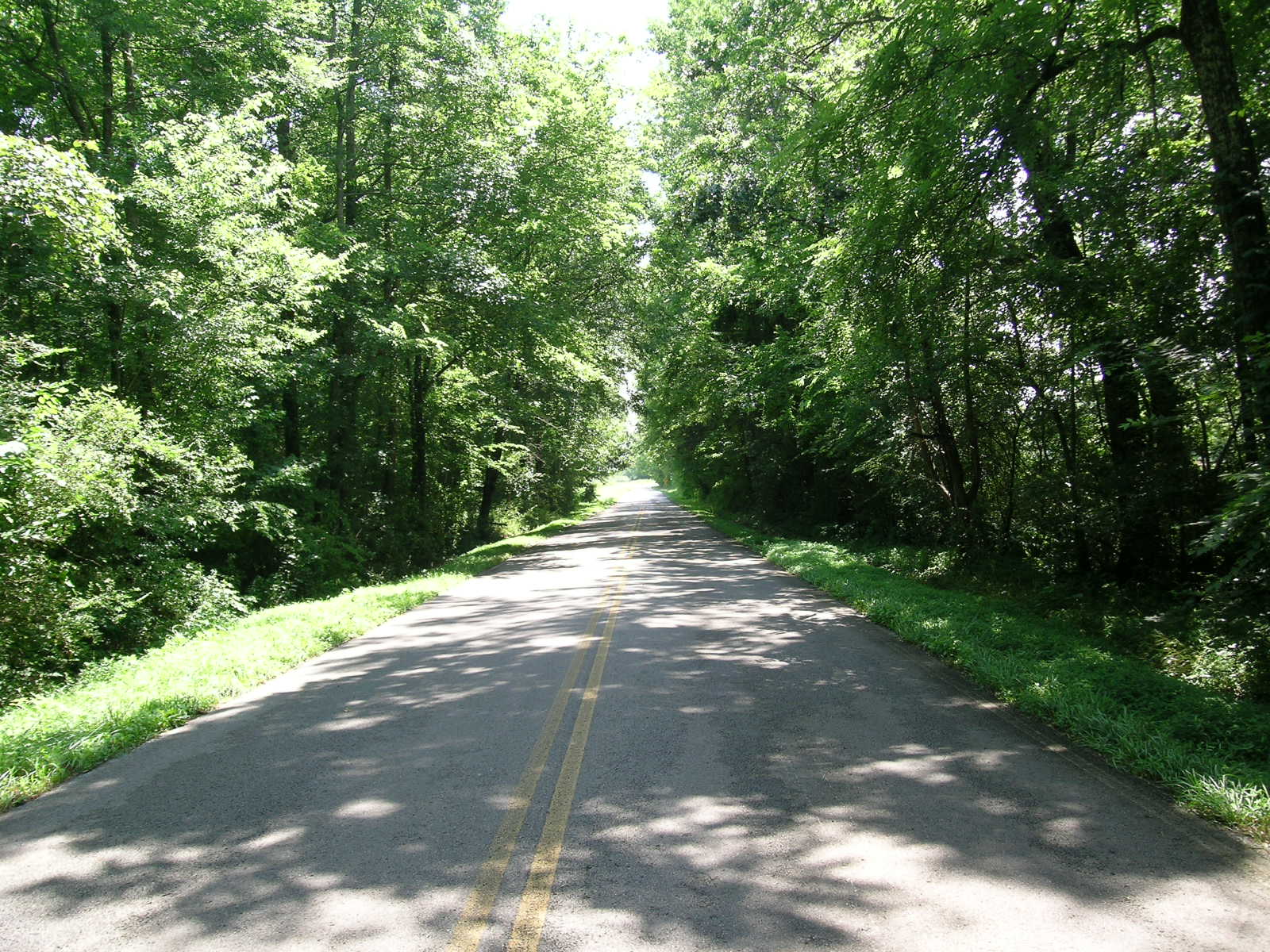 Locations Hub - Mingo Swamp