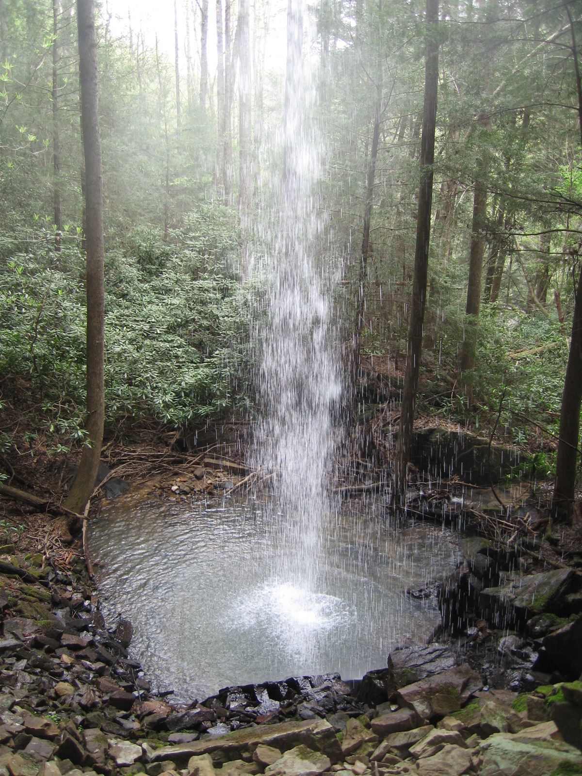 Locations Hub - Clarkrange Hunting Lodge