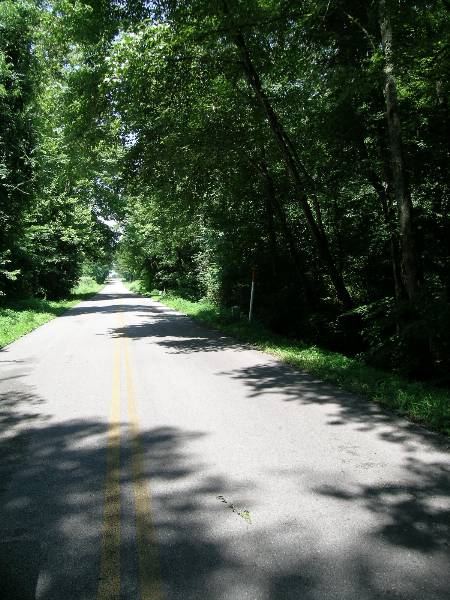 Locations Hub - Mingo Swamp