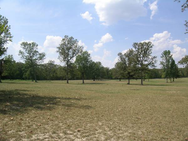 Locations Hub - Bonnaroo Site